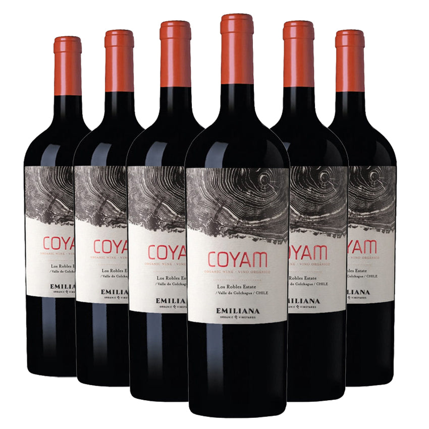 Vino Emiliana Coyam, ensamblaje 2020 D.O. Colchagua x 3 BOTELLAS – Atelier